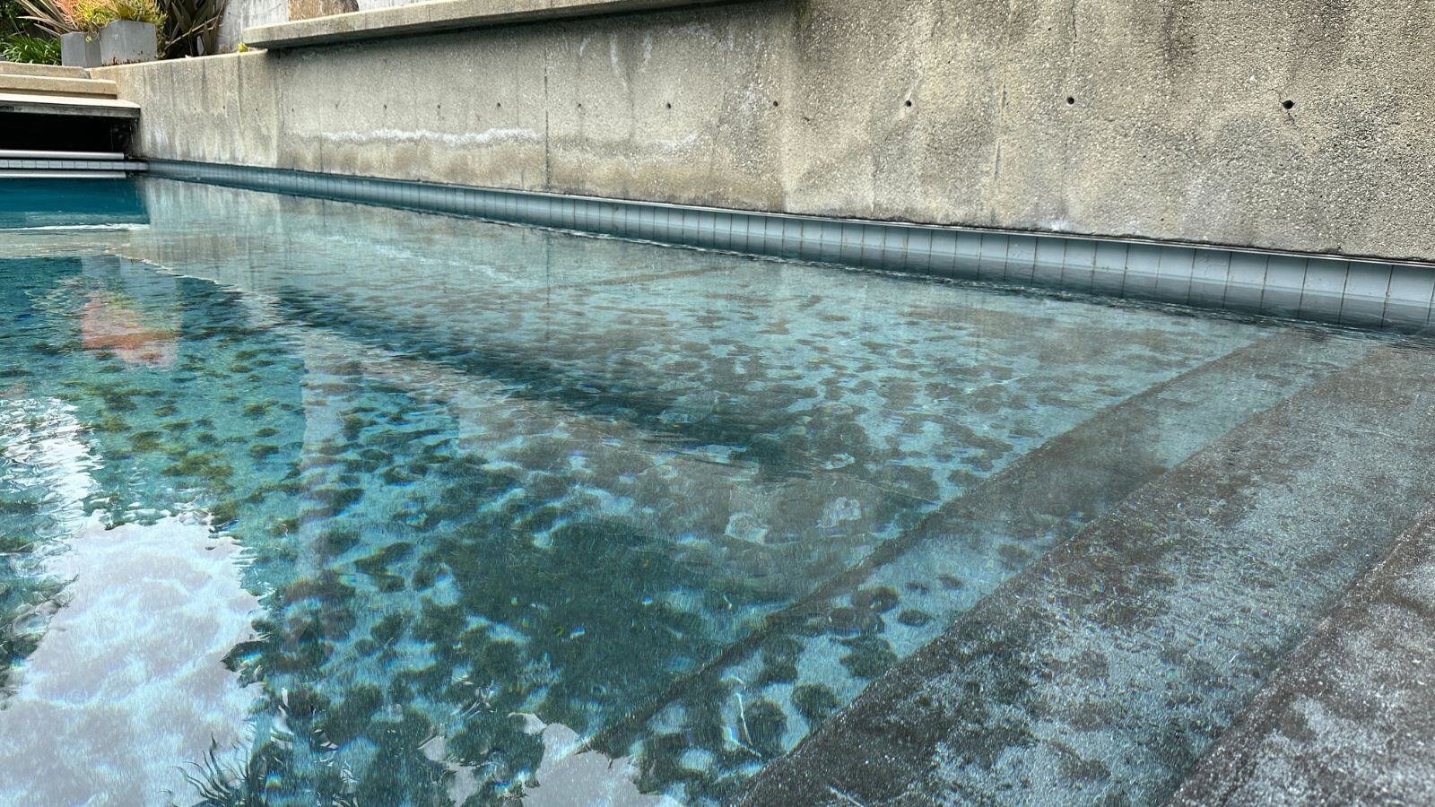 Saltwater Pool Stains? Causes, Prevention & How to Fix Them